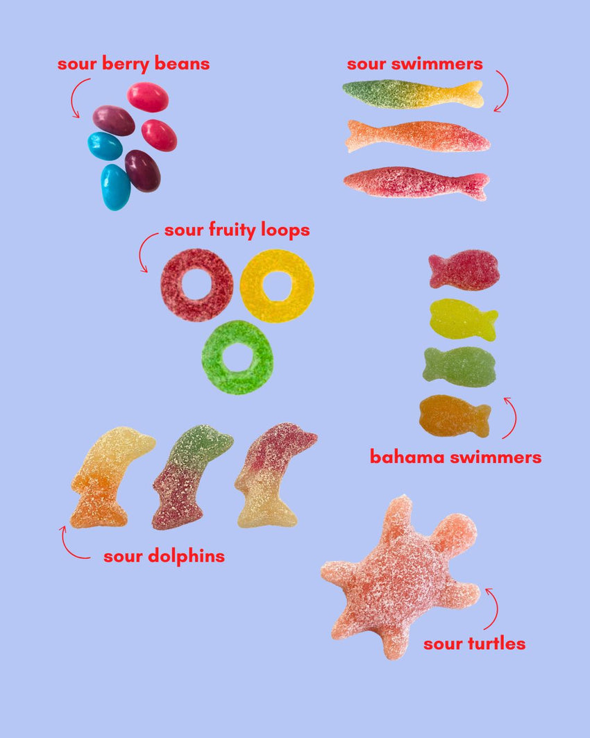 about us! | lil sweet treat